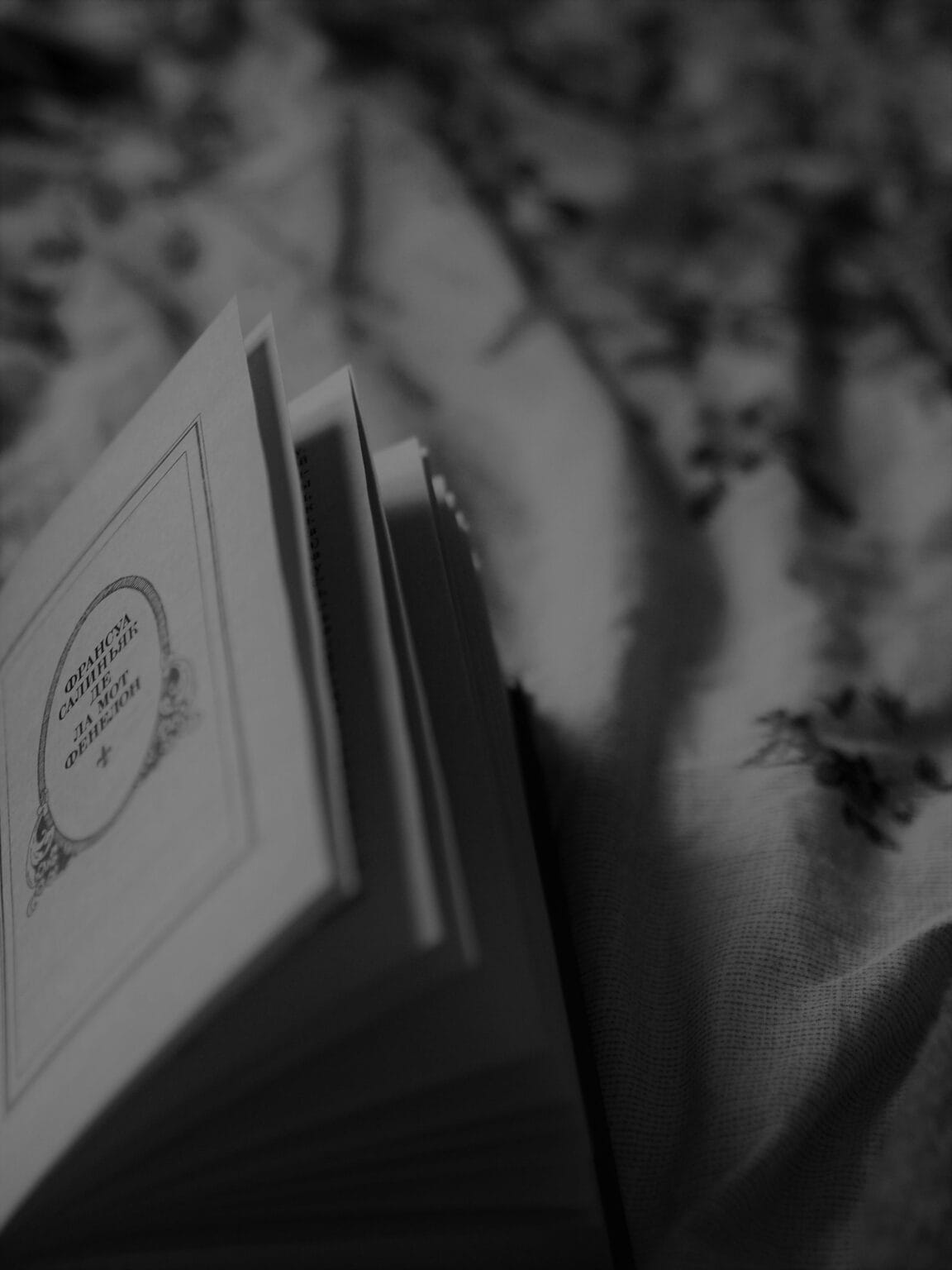 Lady Tremaine by Rachel Hochhauser ⋆ LitBuzz